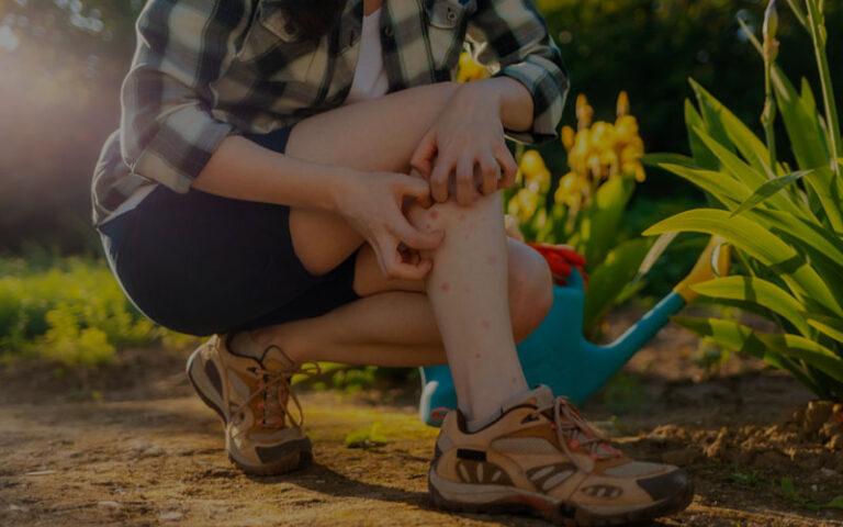 Insect Allergy - Bellagio Clinic